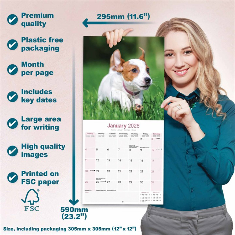 Otter House 2026 Jack Russell Large Month To View Wall Calendar ...