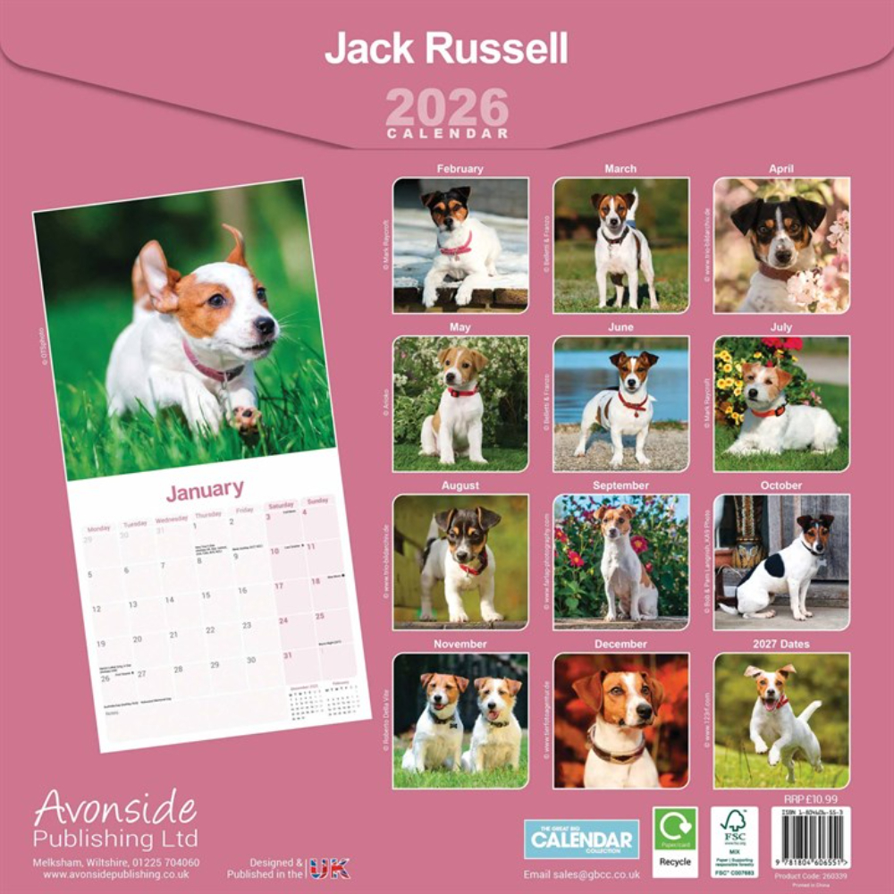Otter House 2026 Jack Russell Large Month To View Wall Calendar ...