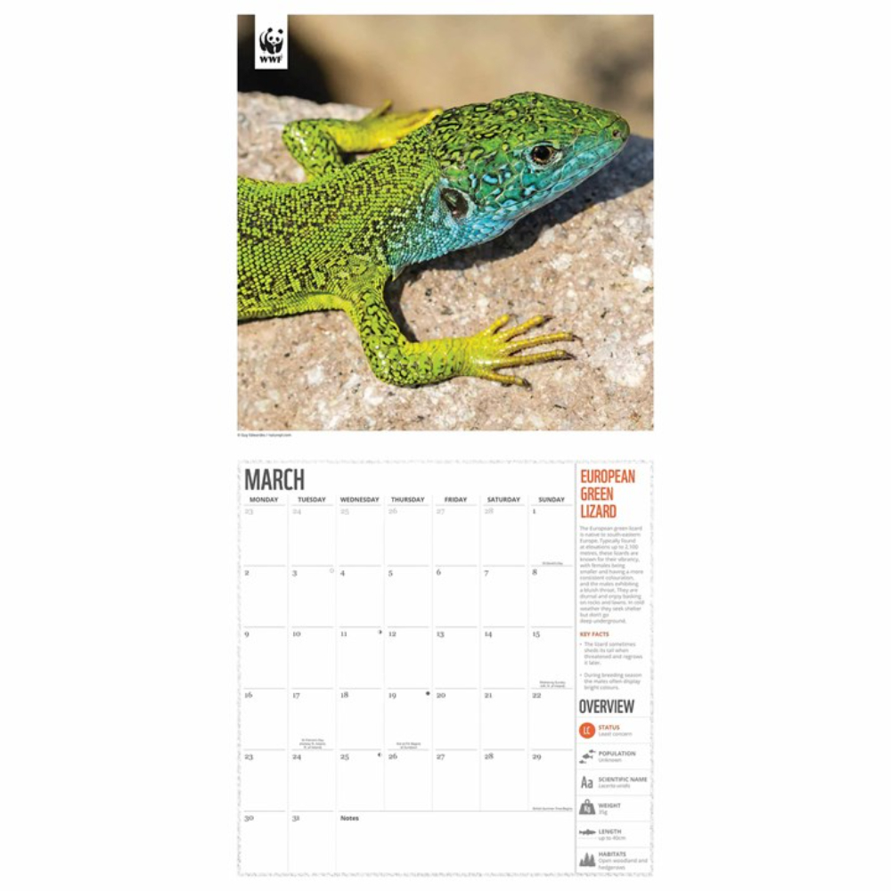 Otter House 2026 WWF Amazing Wildlife Large Month To View Wall Calendar ...